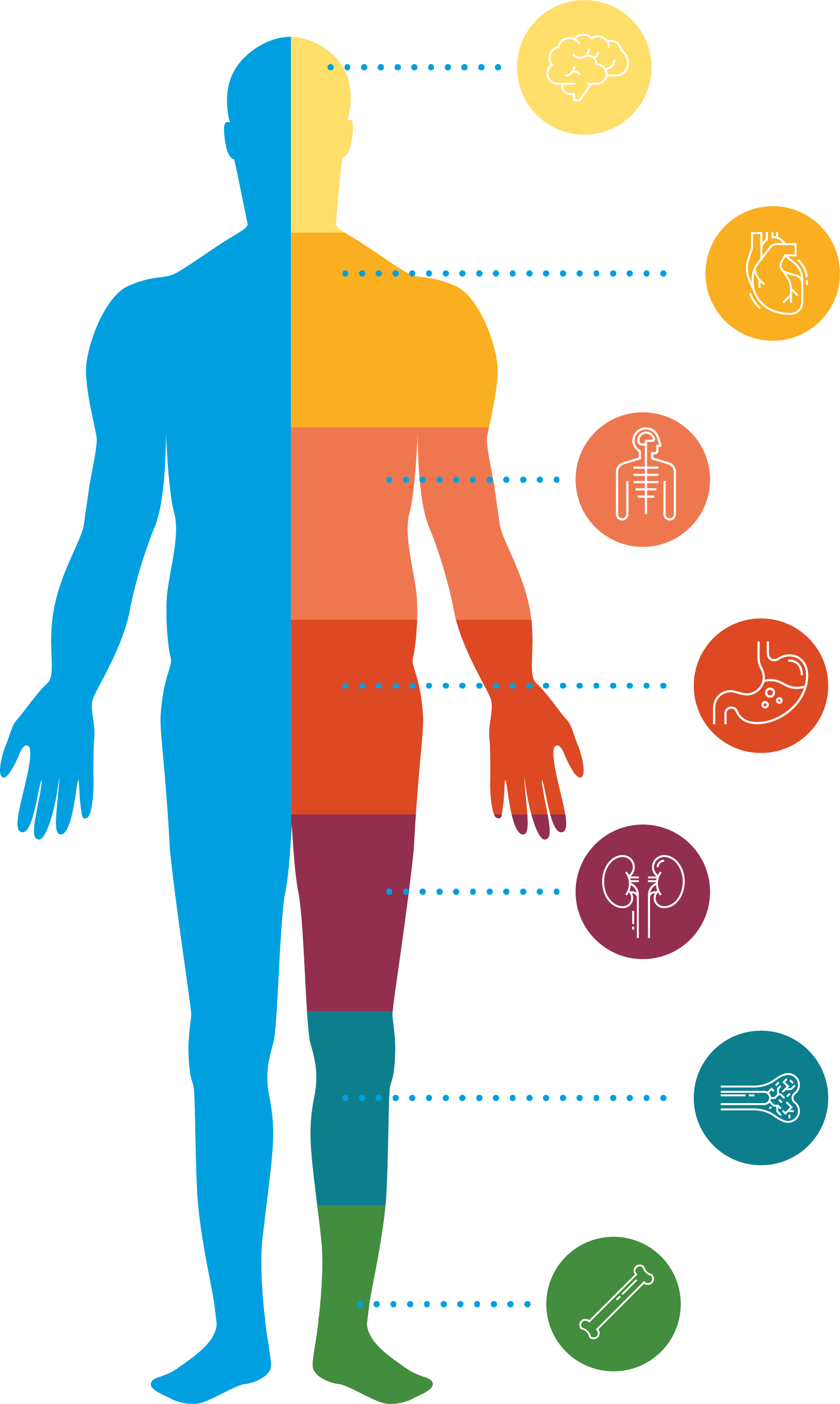 Mersil Neuro - Harmony in every capsule